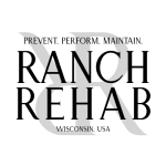 Understanding PEMF and the BEMER device for horses – Ranch Rehab PEMF